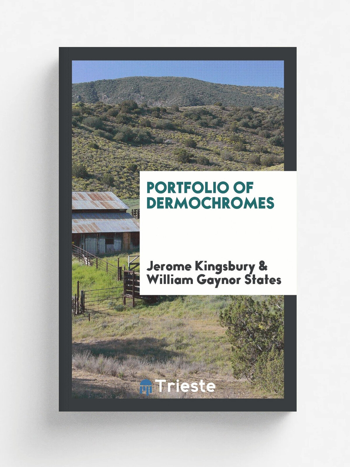 Portfolio of Dermochromes