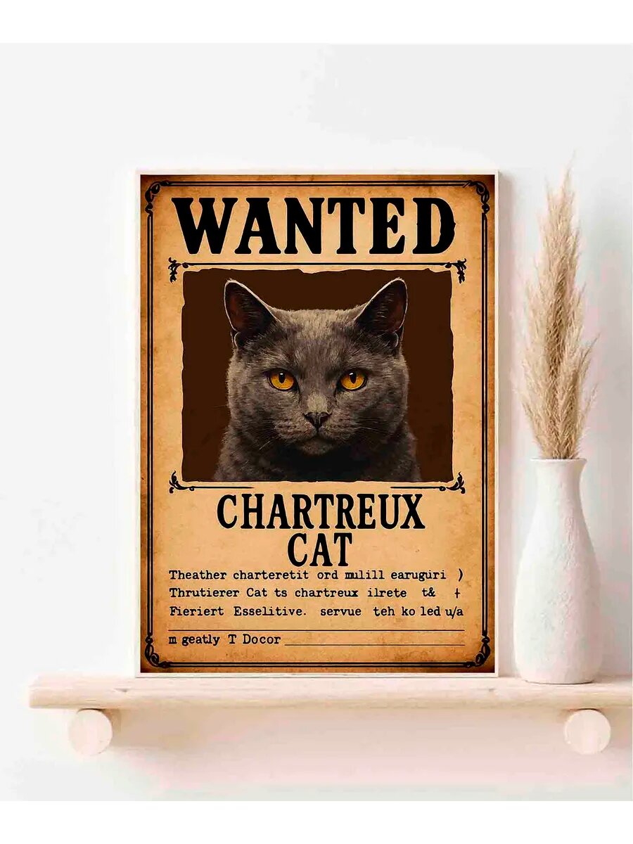 Кот из Шартре, Wanted, Плакат 30x42см
