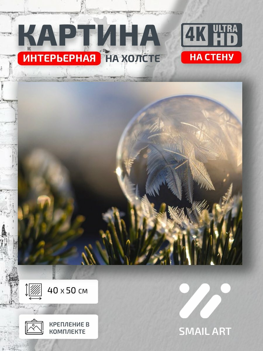 Картина на холсте интерьерная 40 на 50 на стену Шар Macro для студии макро интерьер декор