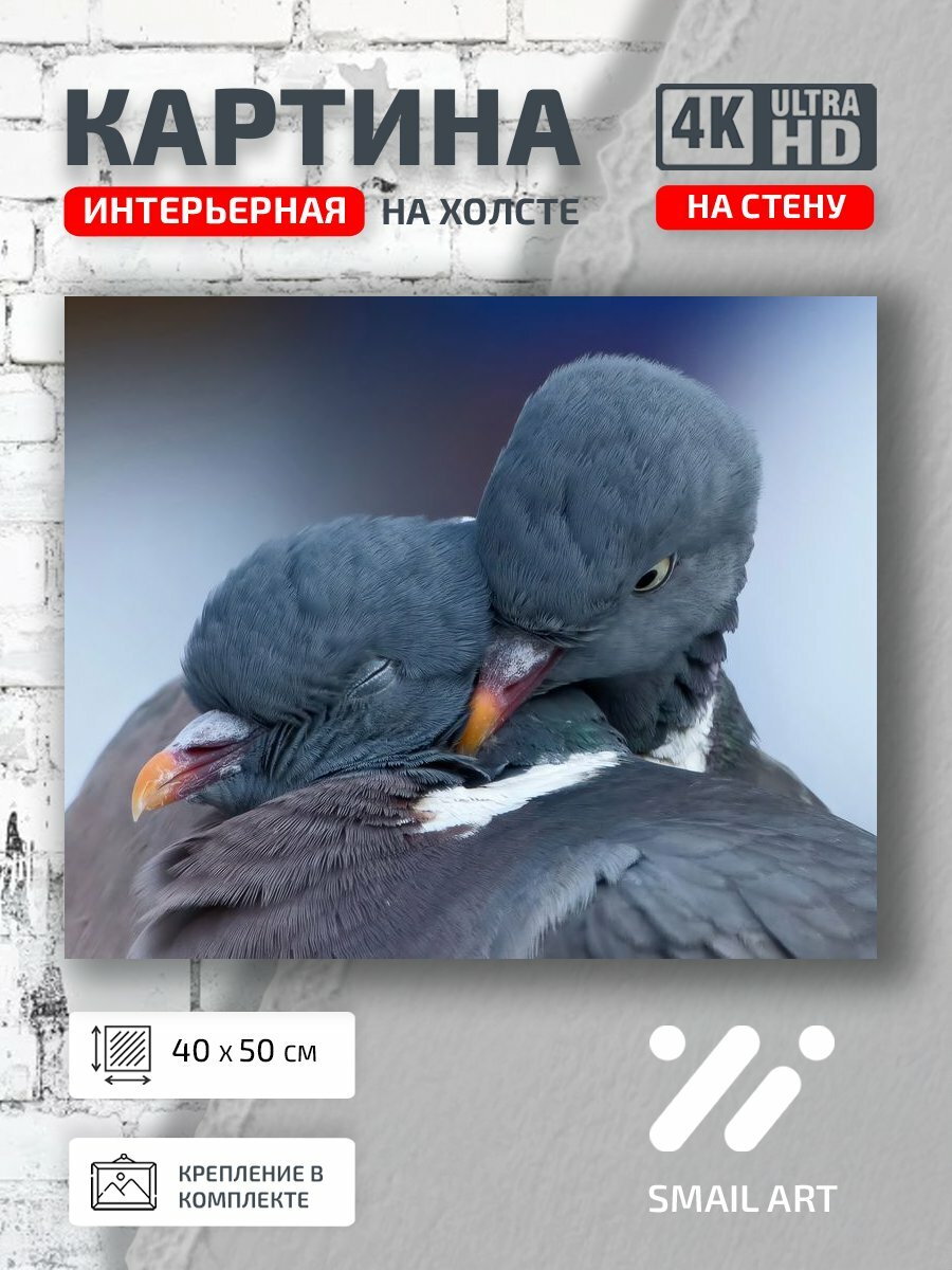 Картина на холсте интерьерная 40 на 50 на стену Голуби Mood для гостиной атмосфера интерьер
