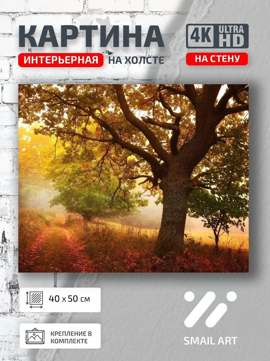 Картина на холсте интерьерная 40 на 50 на стену Осенняя тропа для кафе пейзаж