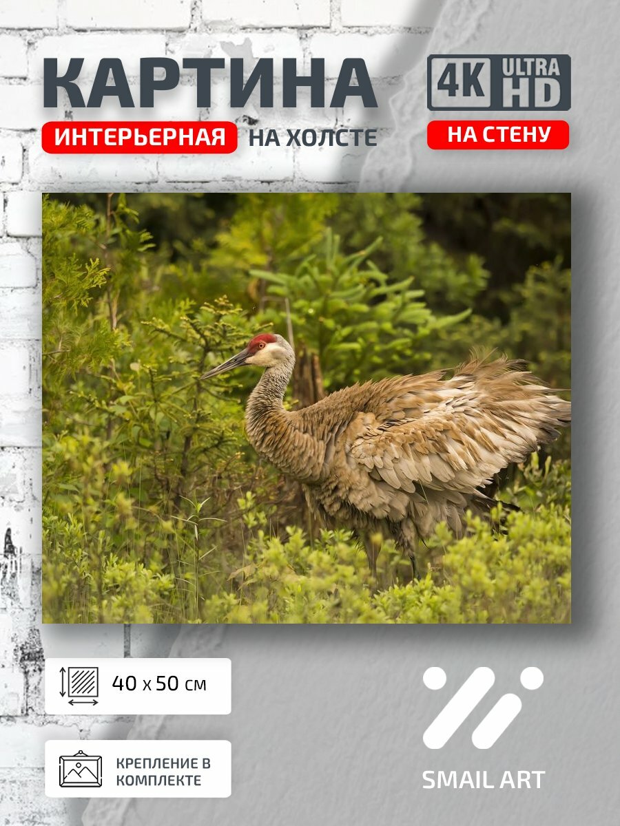 Картина на холсте интерьерная 40 на 50 на стену Журавль Mood для офиса атмосфера интерьер