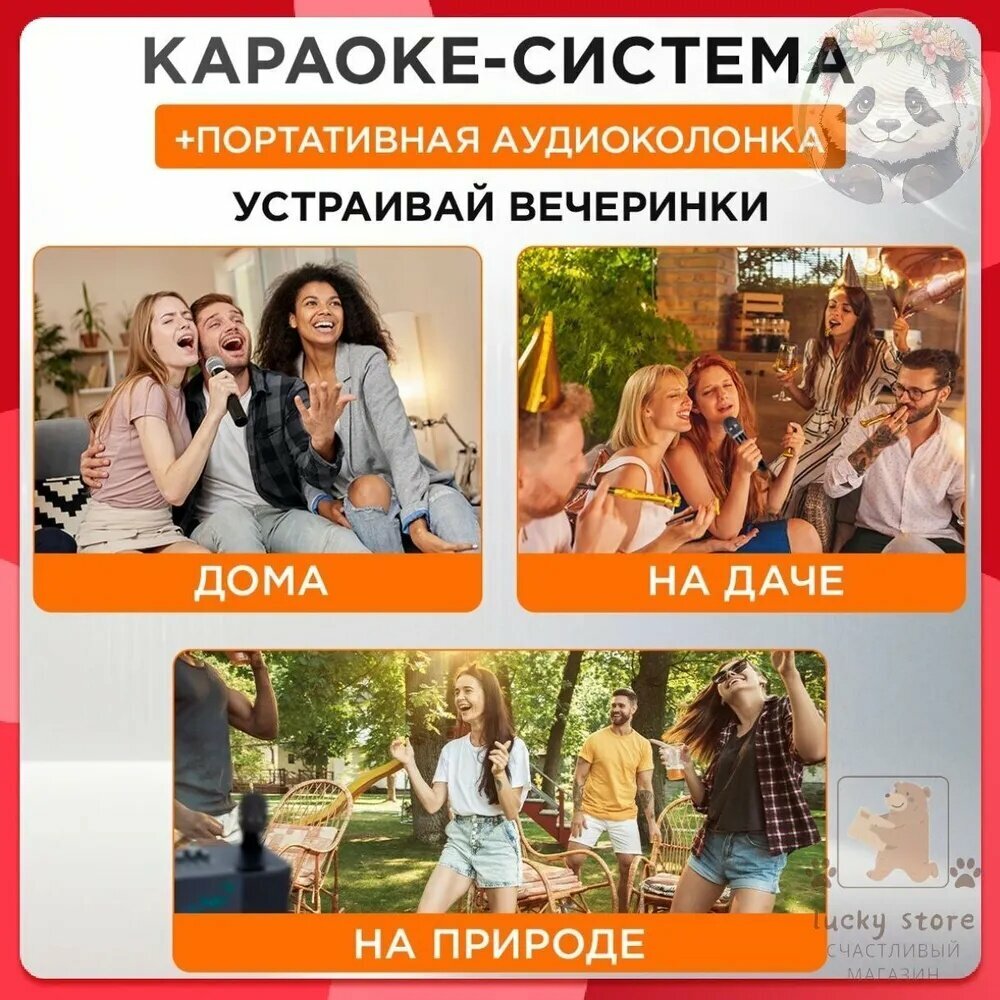 Караоке-система — фото 1