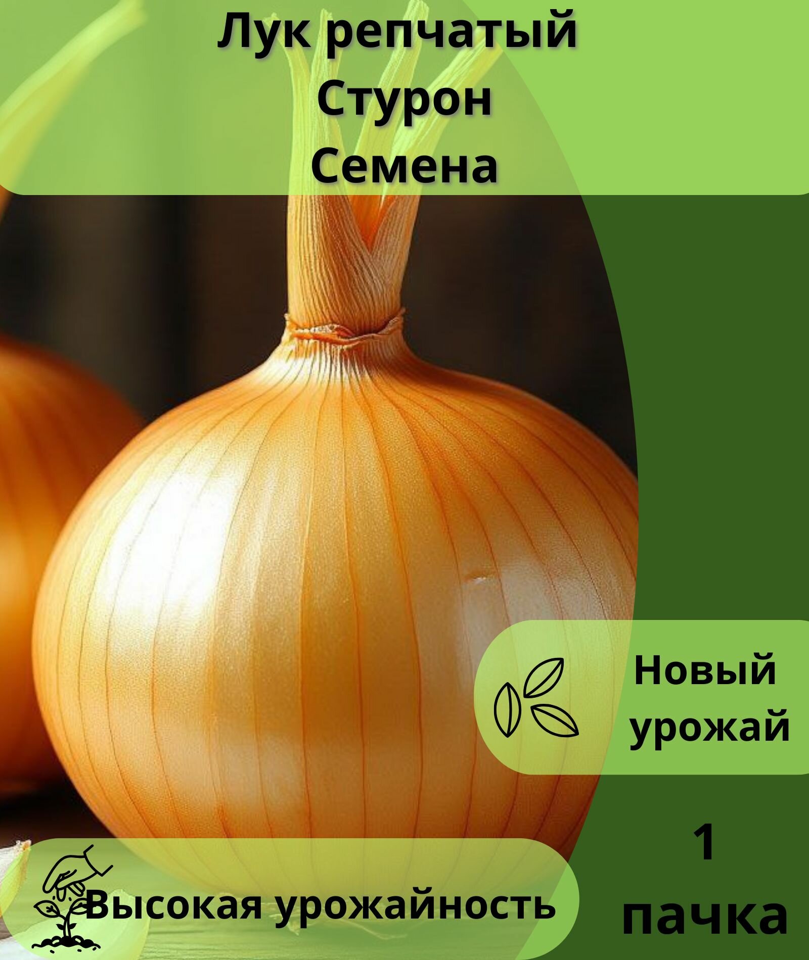 Лук репчатый стурон, семена 10шт