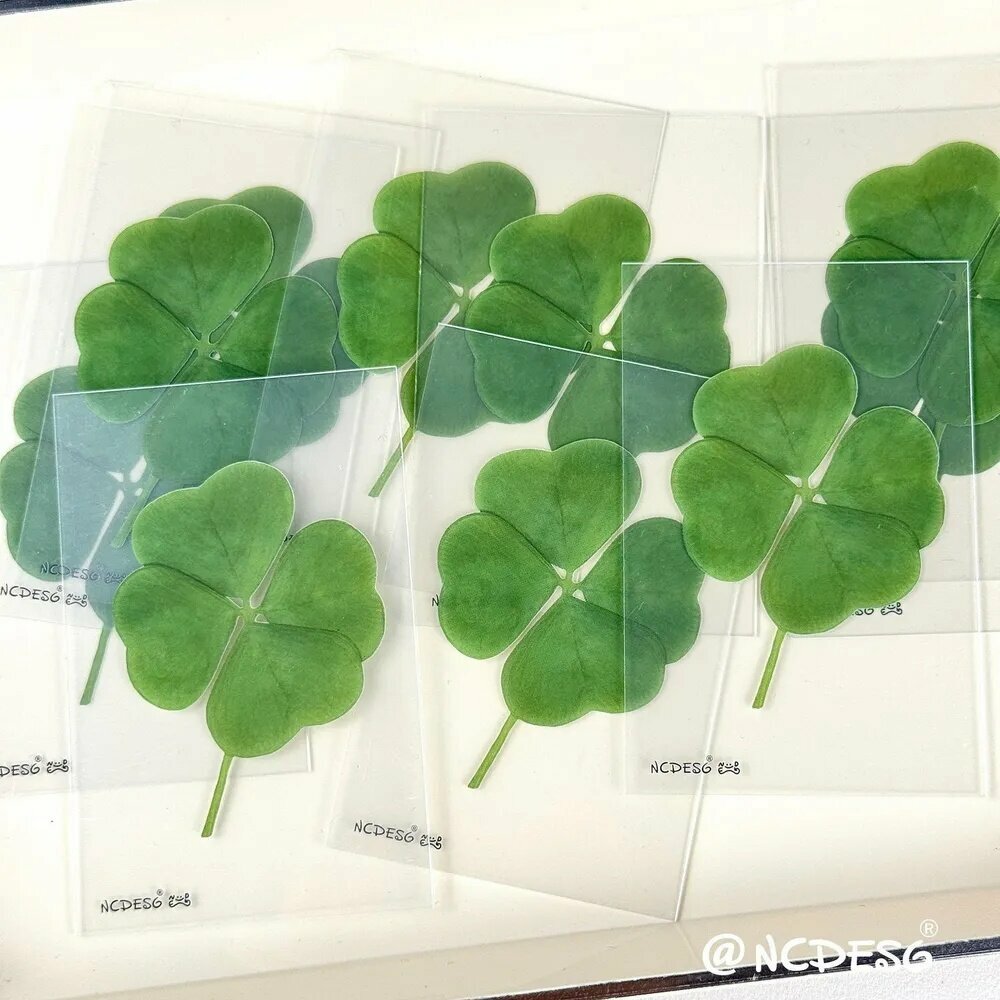 Четырехлистный клевер, амулет, приносит удачу, отгоняет невезение