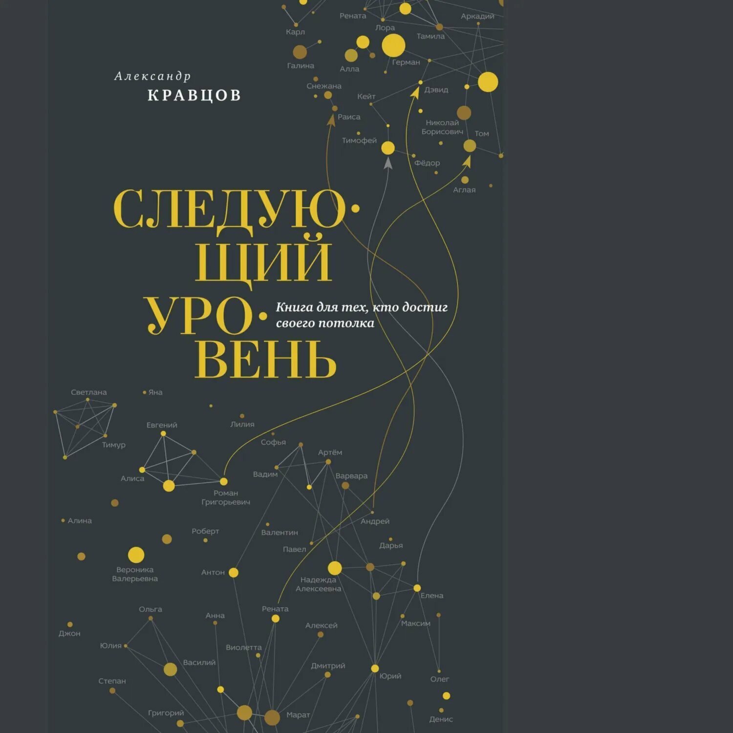 Следующий уровень. Книга для тех, кто достиг своего потолка [Аудиокнига]