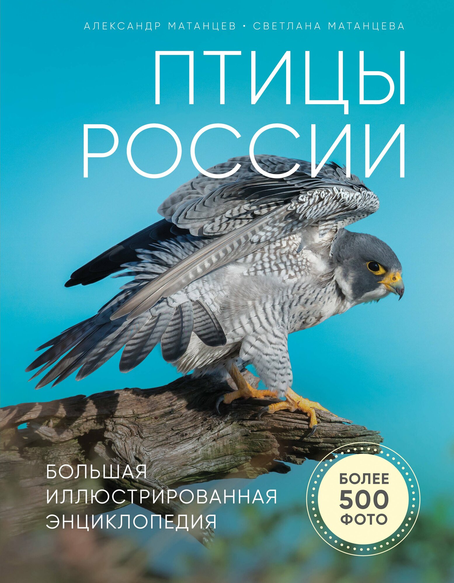 Книга: "Птицы России. Большая иллюстрированная энциклопедия" от Матанцев А, русский язык, Зоология