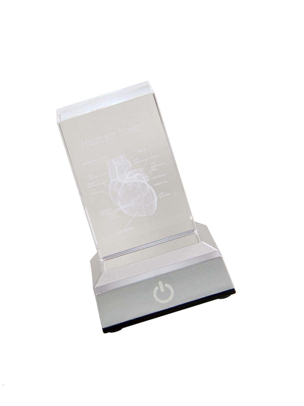 Хрустальная модель зуба / сердца, 3D анатомическая модель человеческих органов, Лазерная гравировка для украшения домашнего офиса, стеклянное пресс-папье