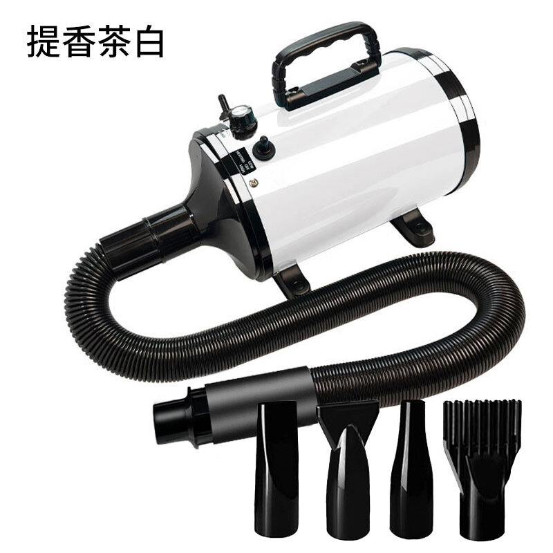 Горячая распродажаФен с регулируемой температурой, бесступенчатым контролем скорости, водяной фен для мойки автомобилей, быстрое сушение