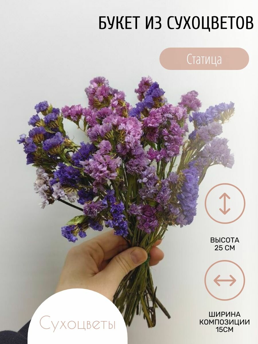 Букет из сухоцветов Статица. Букет из сухоцветов будет радовать ни один год.