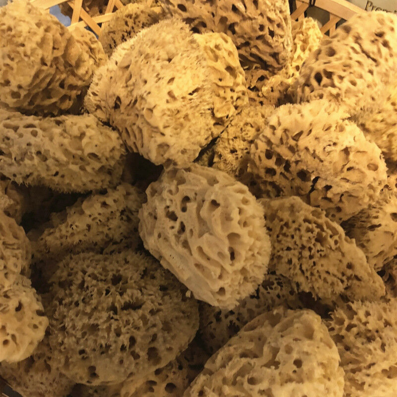 Греческая натуральная губка для купания детей, детская губка для ванны, артефакт для мытья лица, губка из морских водорослей с медовой структурой