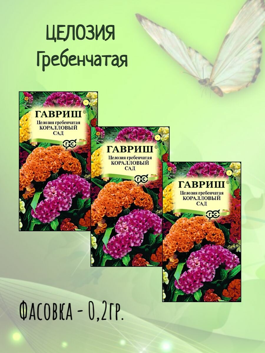 Семена Целозия Гребенчатая 3 пакета