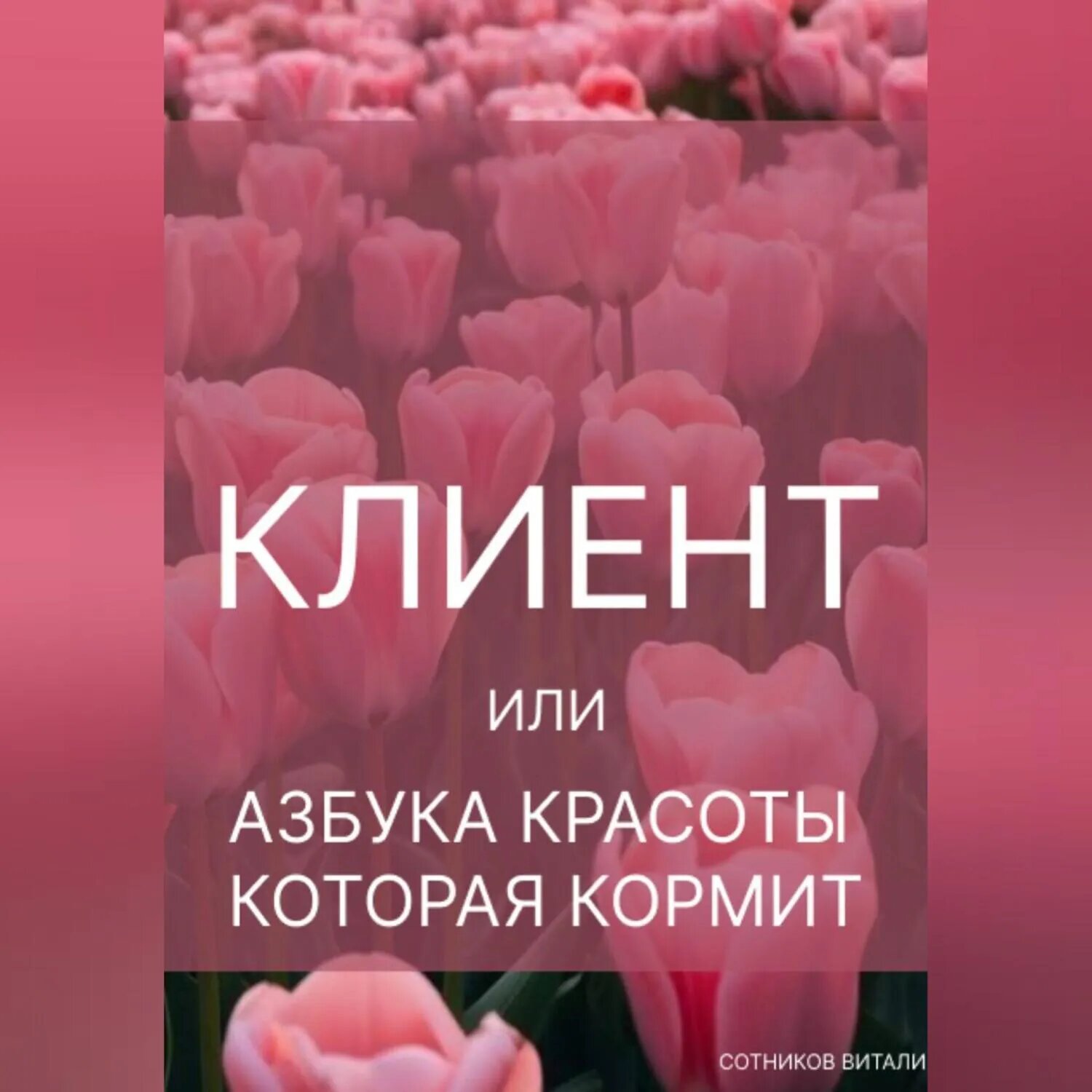 Клиент. ИЛИ азбука красоты, которая кормит [Аудиокнига]
