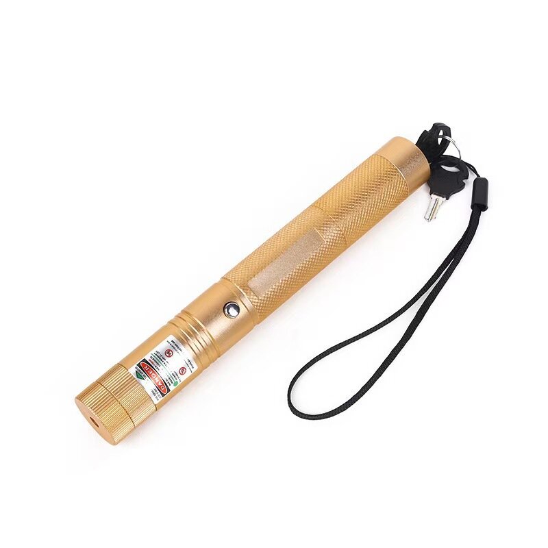 303 мощный лазерный фонарик красный зеленый внешний лазерный фонарик Локальная ручка с золотым корпусом [без