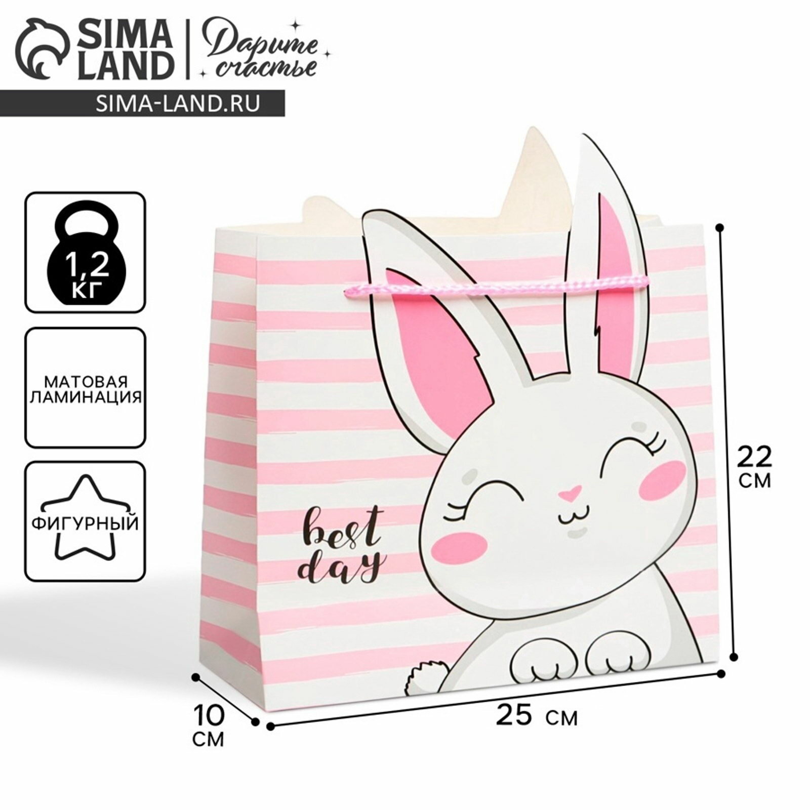 Пакет подарочный, упаковка, "Best day", 25x26x10 см, для кого: для девочек