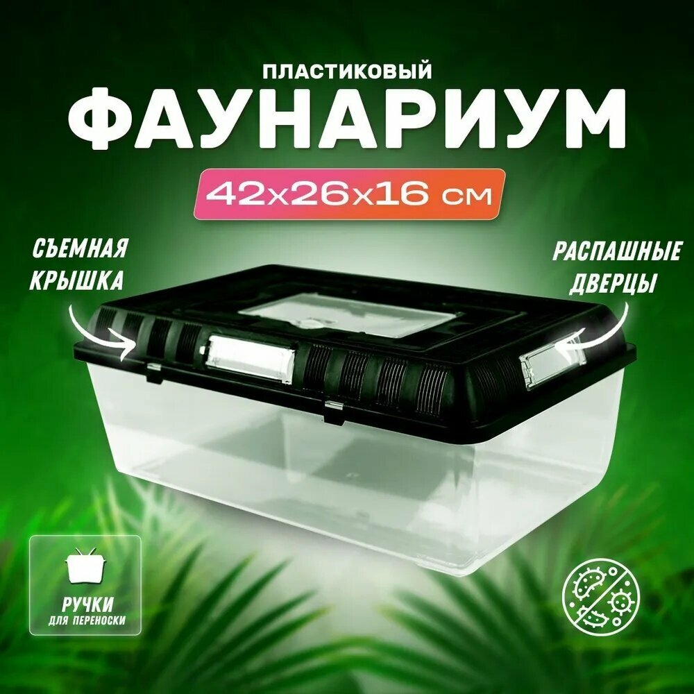 Террариум