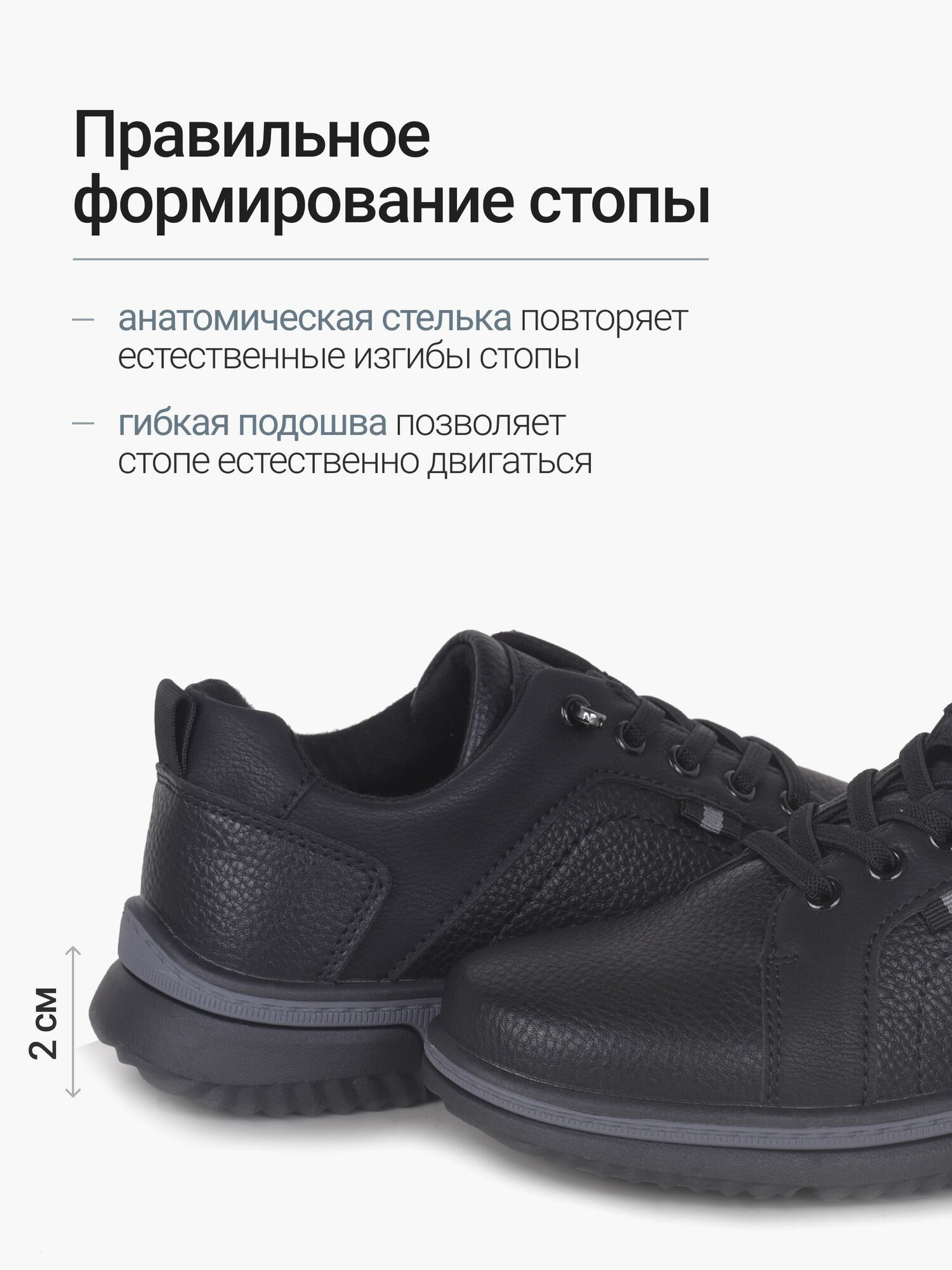 Сапоги T.Taccardi