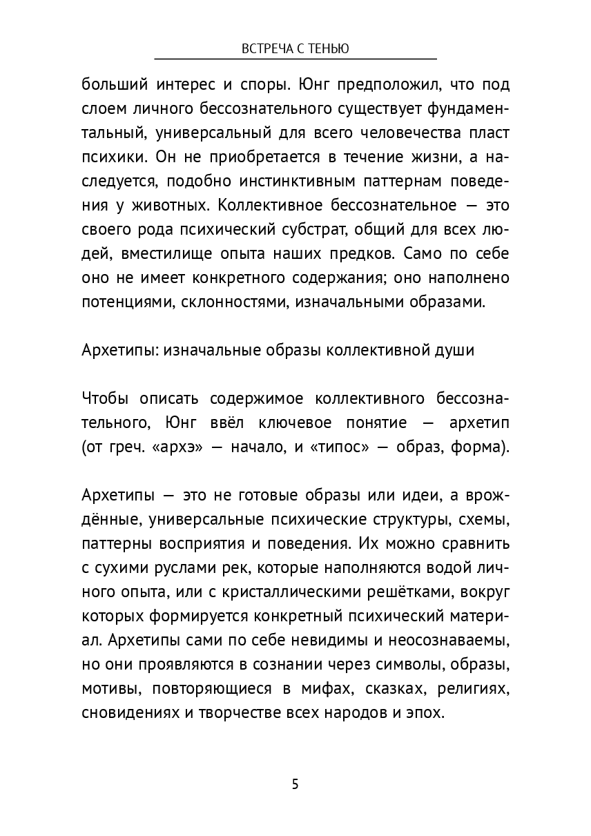 Встреча с тенью — фото 1