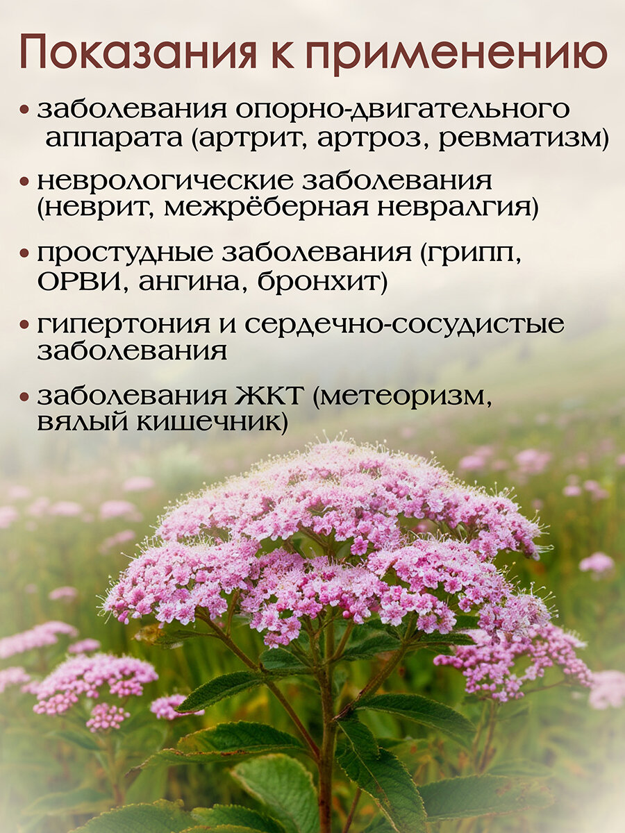 Лабазник экстракт расширяет сосуды , снимает головные боли. 60 кап — фото 1