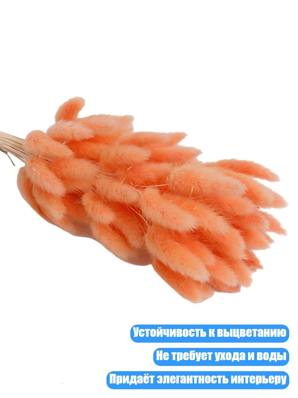 Натуральные хвосты кролика для декора, Сплошной цвет 26