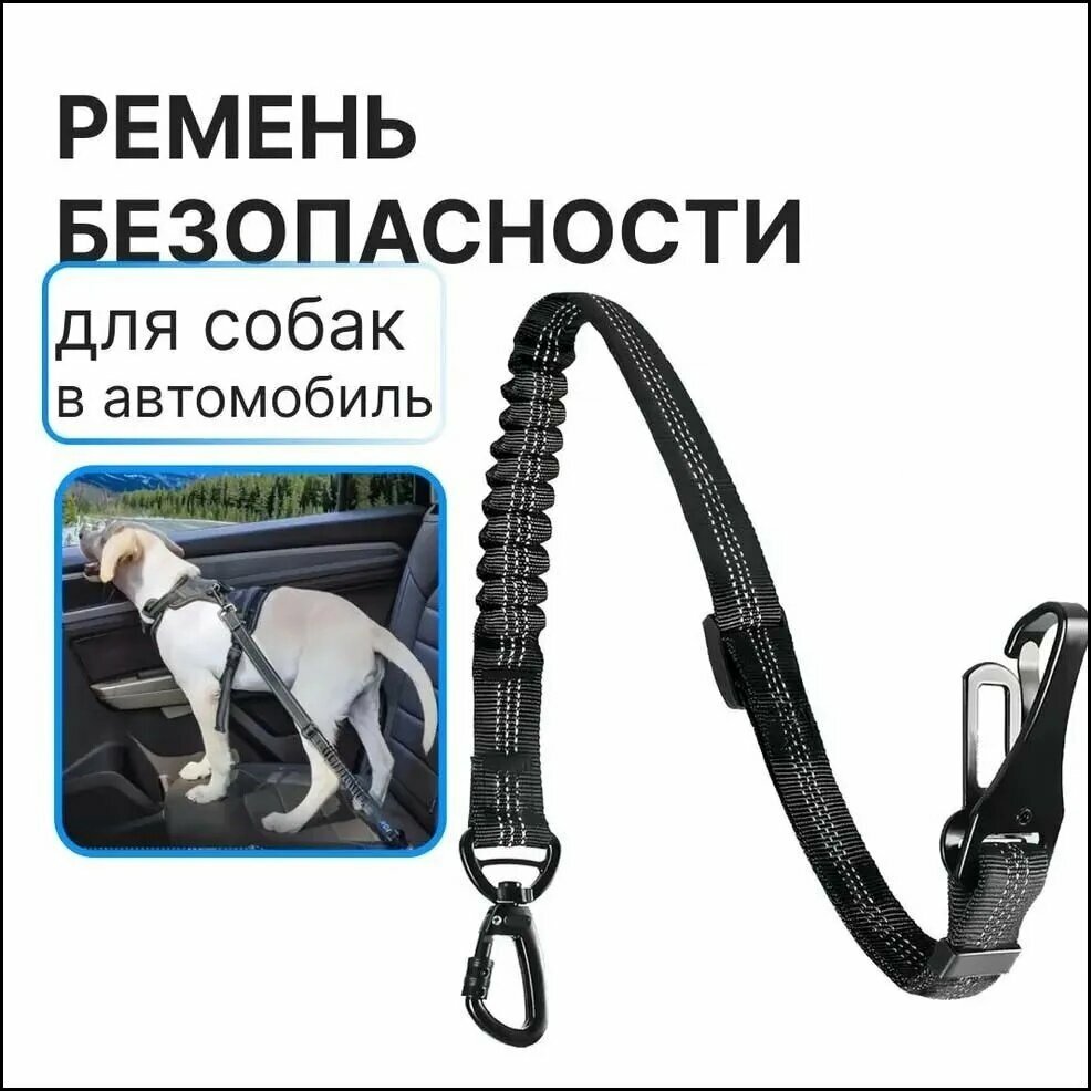 Ремень безопасности для собак в машину