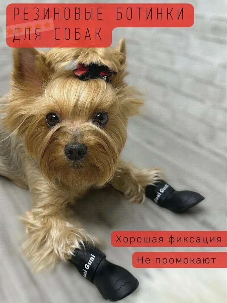 Обувь для собак
