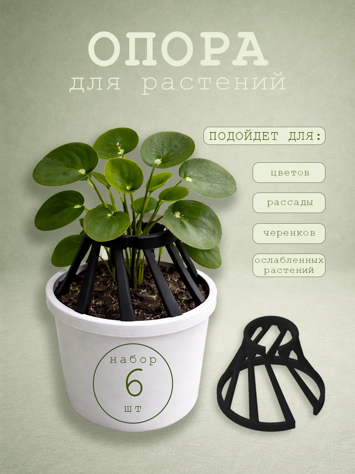 Опора для молодых растений, черенков. Поддержка растений, рассады, черная, 6 шт