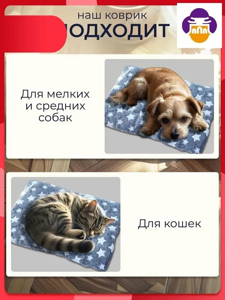 Лежак для животных, для кошек и небольших собак, для поездок и прогулок, компактная и удобная, для дома и в дороге — фото 1