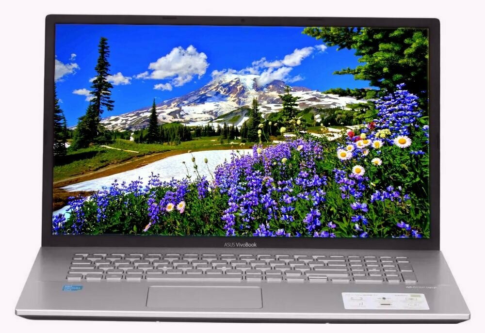 Ноутбук ASUS Intel Core i3 3,4ГГц 6 ядер. 17' 1920x1080 Intel UHD Graphics Windows 11 Pro Русская раскладка