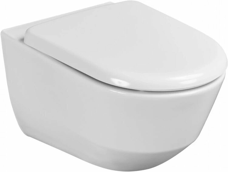 Унитаз подвесной Laufen Pro 8.2096.6.000.000.1 безободковый, белый