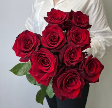 Роза эксплорер 70см 9 шт