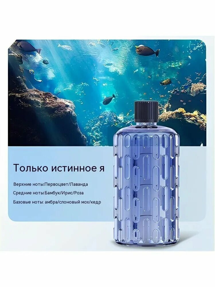 Увлажнитель воздуха FHJ025, коричневый