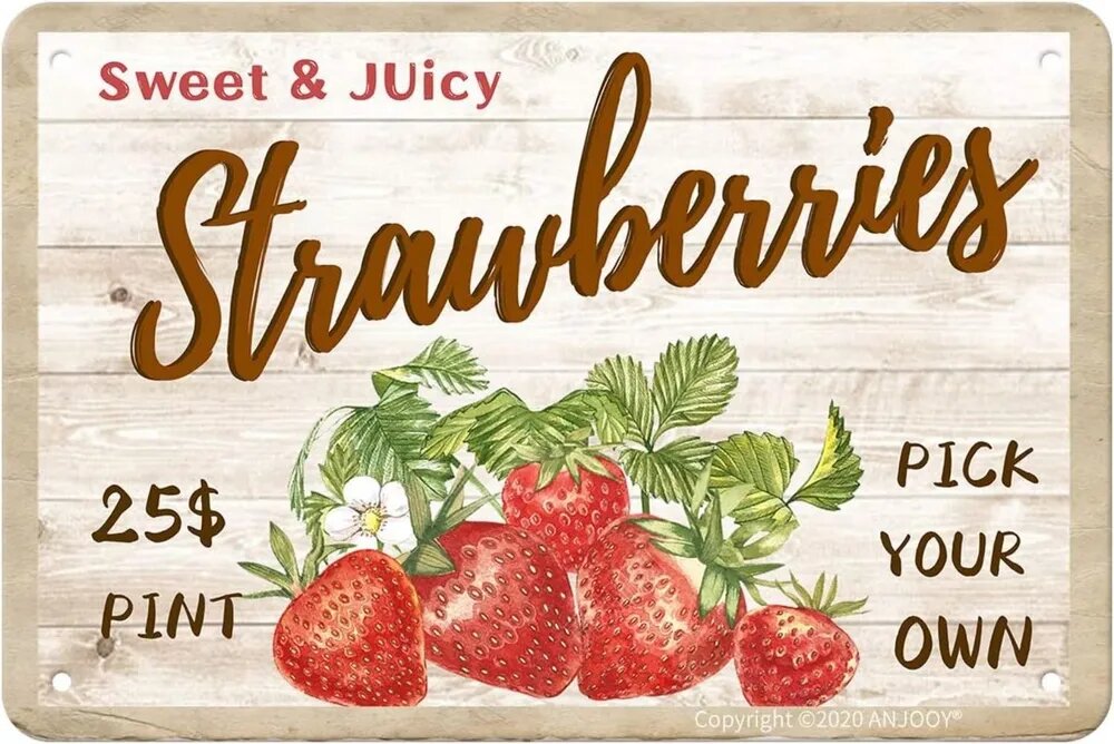 Прикольная табличка с клубникой "Sweet & Juicy Strawberries" для декора, металл, 20х30 см.