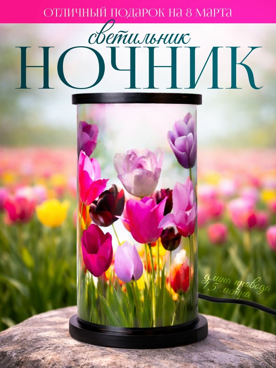 Подарочный ночник / светильник детский настольный / универсальный подарок девочке