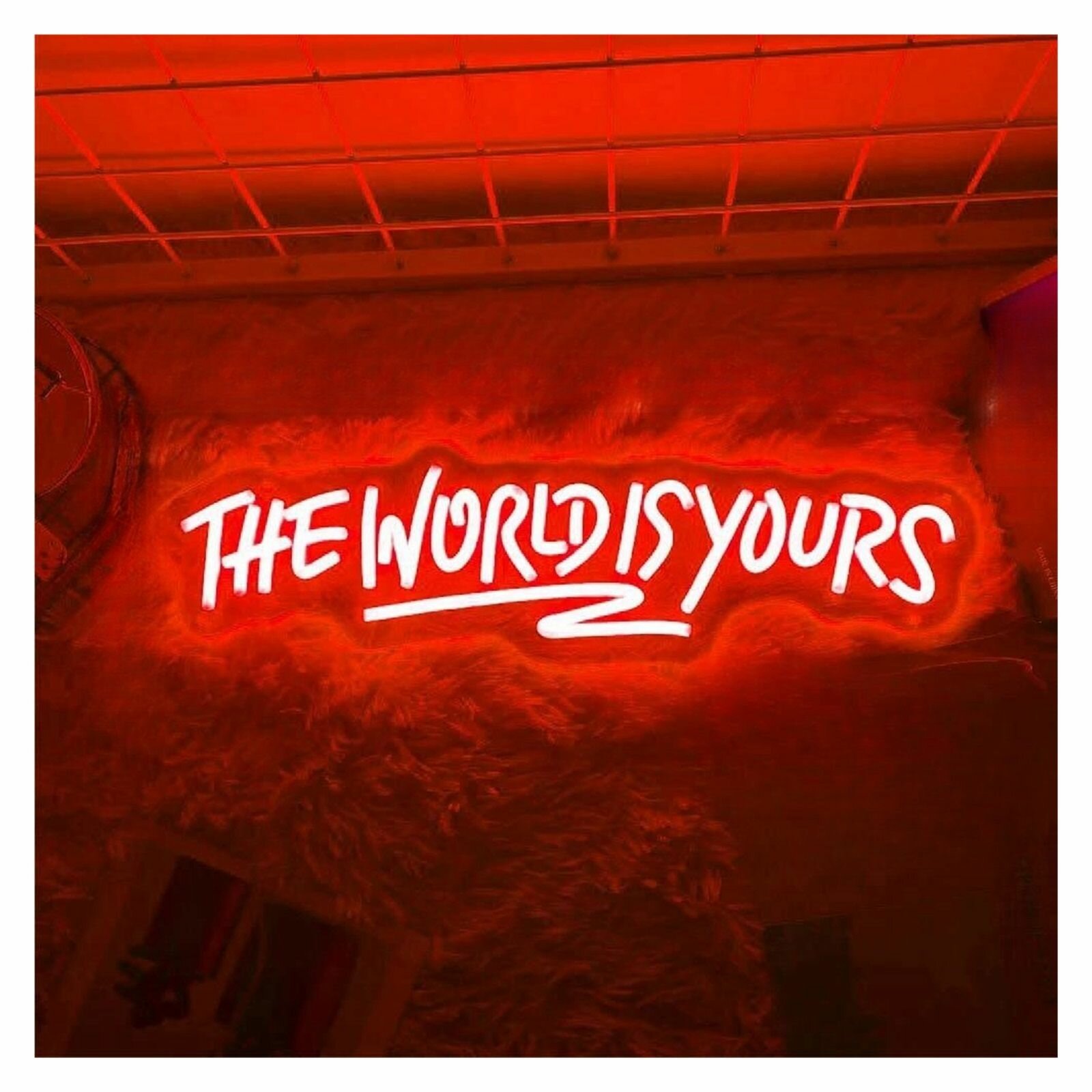 The World Is Yours Декор Неоновой Вывески USB 50смх15см