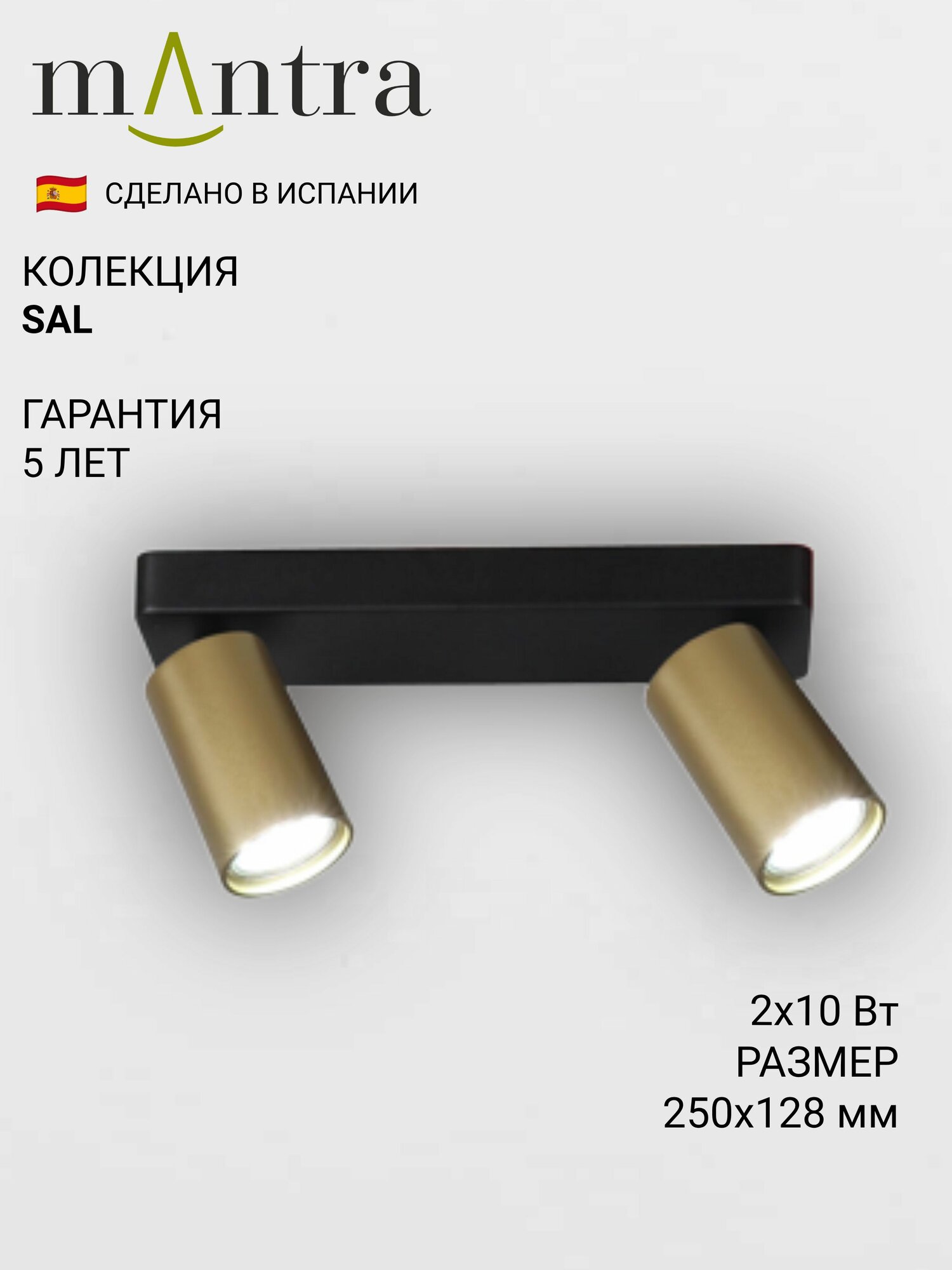 Потолочный светильник-спот SAL 8489