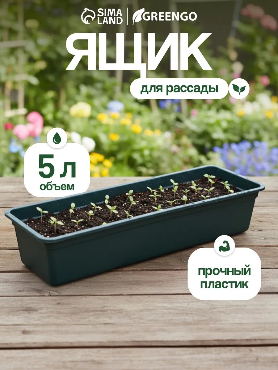 Ящик для рассады, 500 × 160 × 107 мм, 5 л, пластик, чёрный, «Урожай-5»