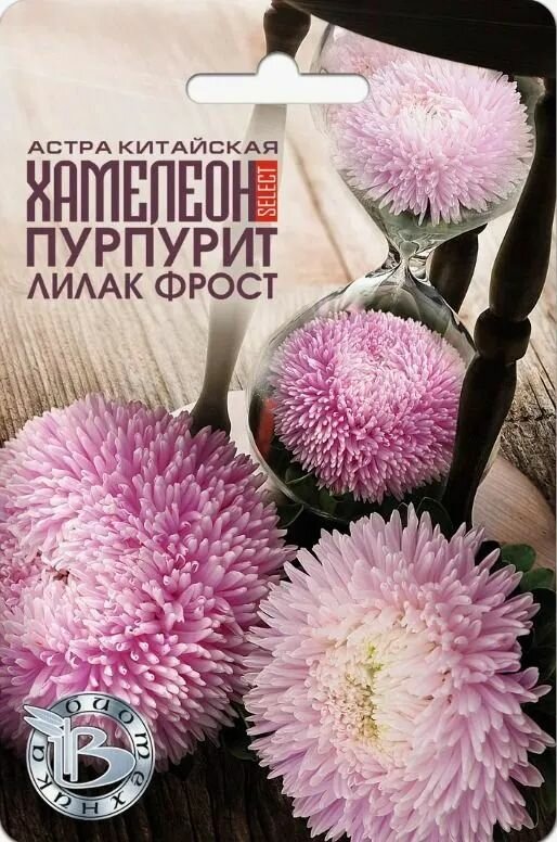 Семена Астра Хамелеон Лилак Фрост Биотехника