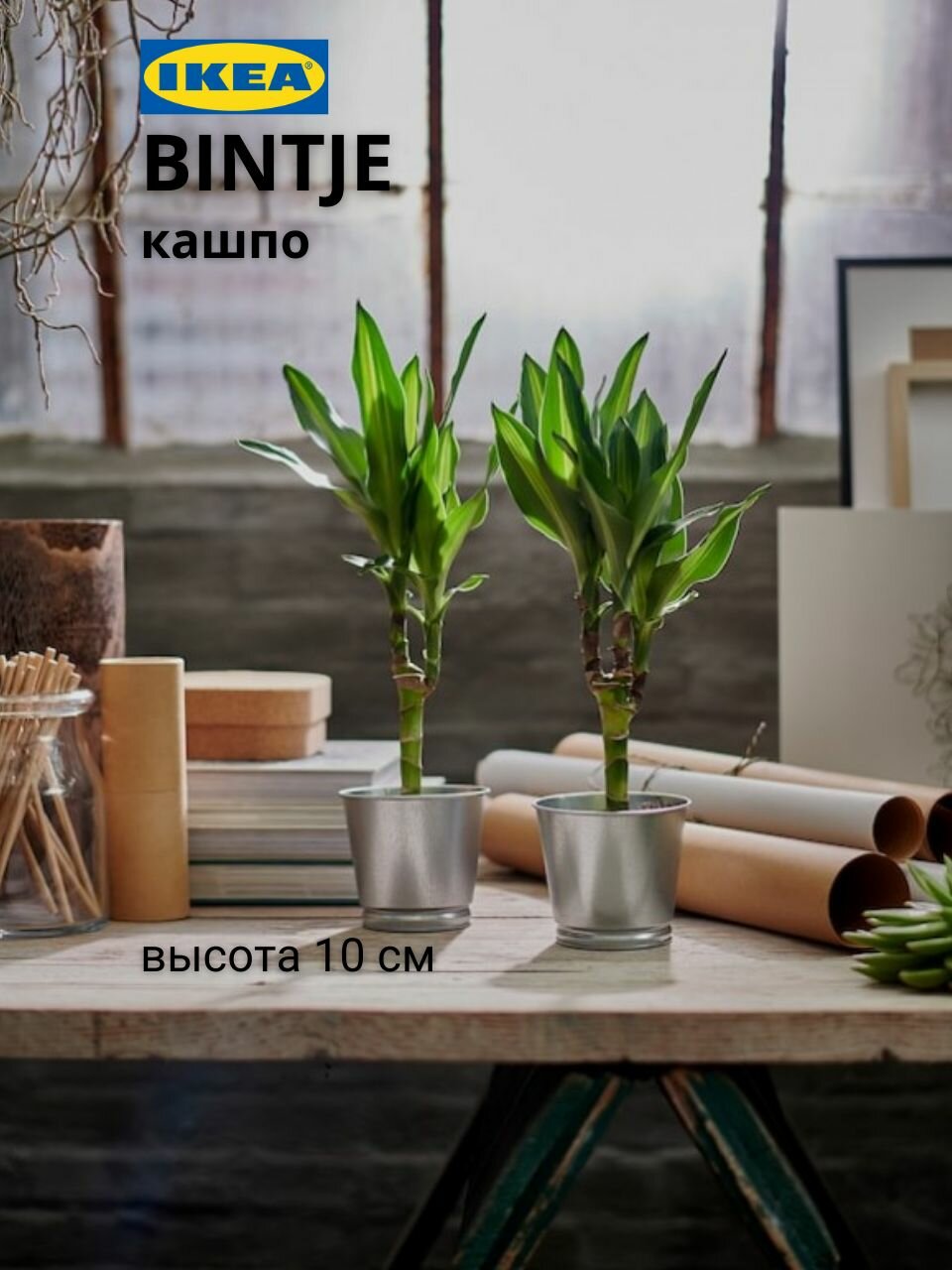 BINTJE бинтье кашпо, оцинковка
