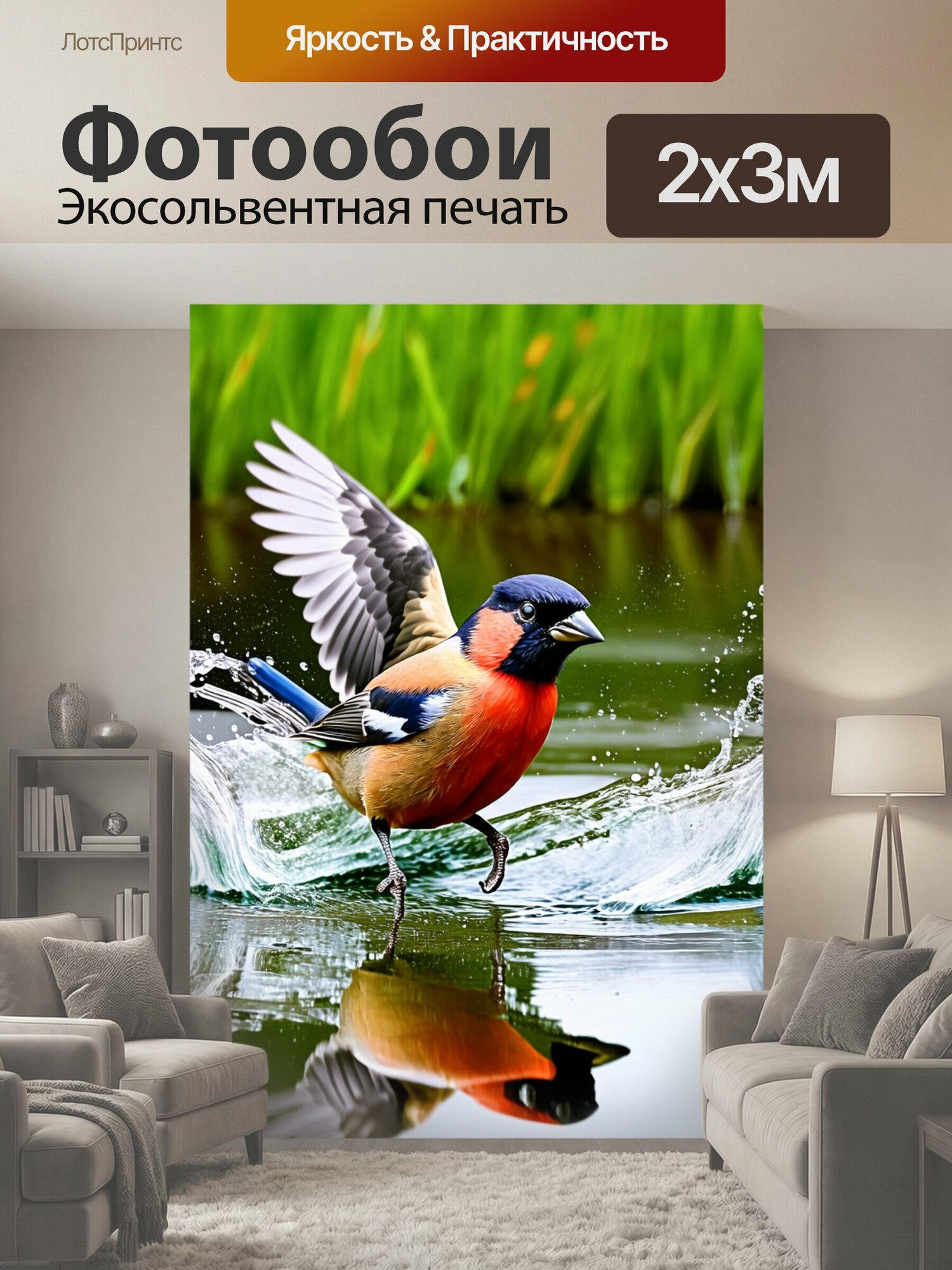 Фотообои "Птица-снегирь с расправленными крыльями прыгает в воду, создавая брызги. На фоне зелёная трава и отражение в воде. Яркие детали." 200x300 см. экосольвентная печать