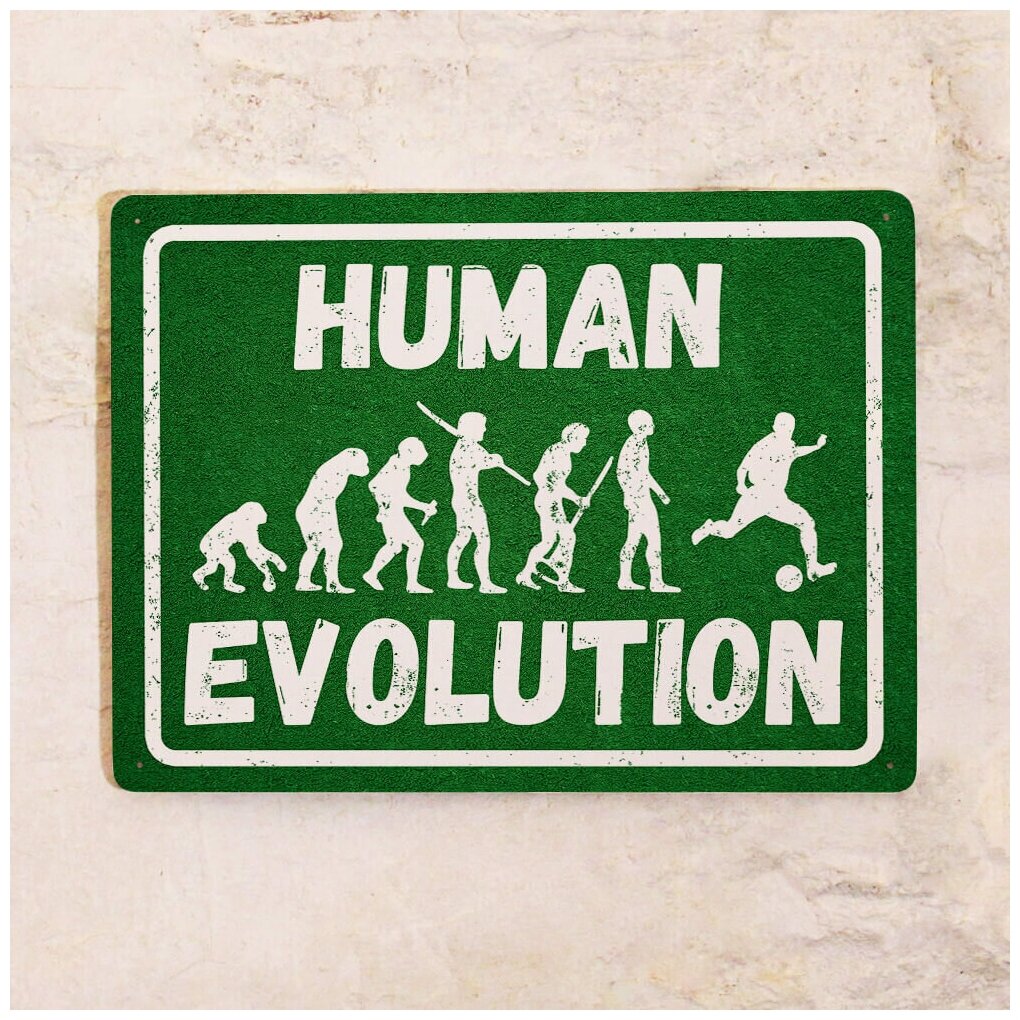 Жестяная табличка Human Evolution, металл, 30Х40 см