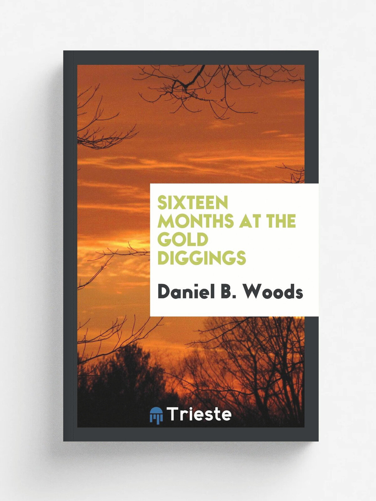 Sixteen Months at the Gold Diggings