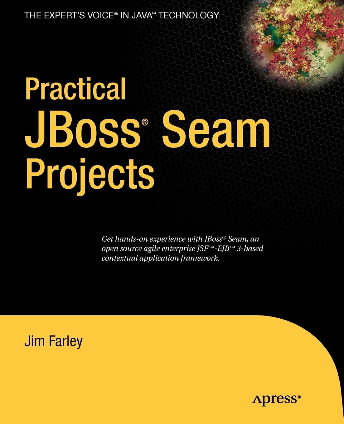 Practical JBoss Seam Projects — фото 1