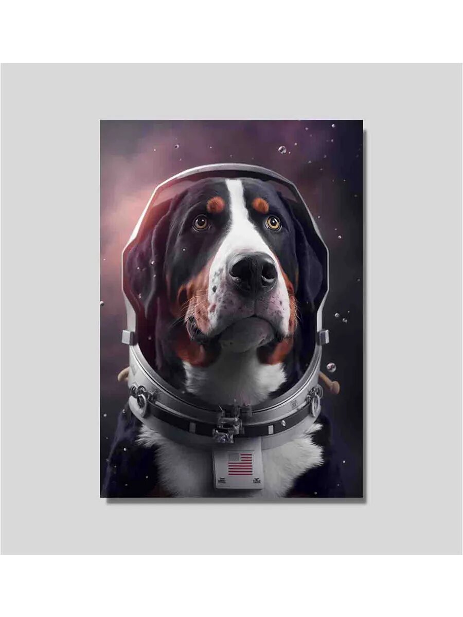Космонавт Большая швейцарская горная собака 4, Плакат 30x42