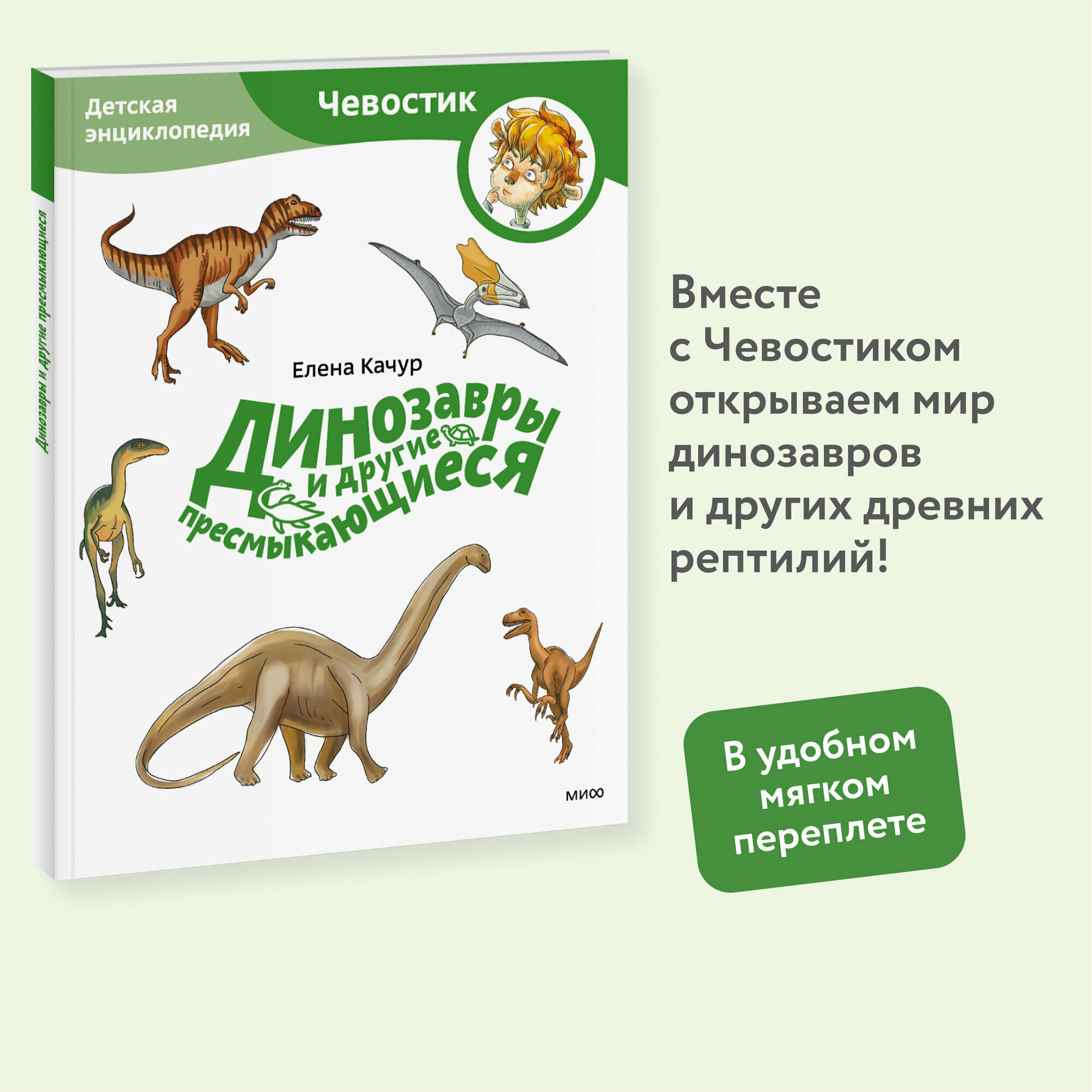 Елена Качур. Динозавры и другие пресмыкающиеся. Детская энциклопедия (Чевостик) (Paperback)