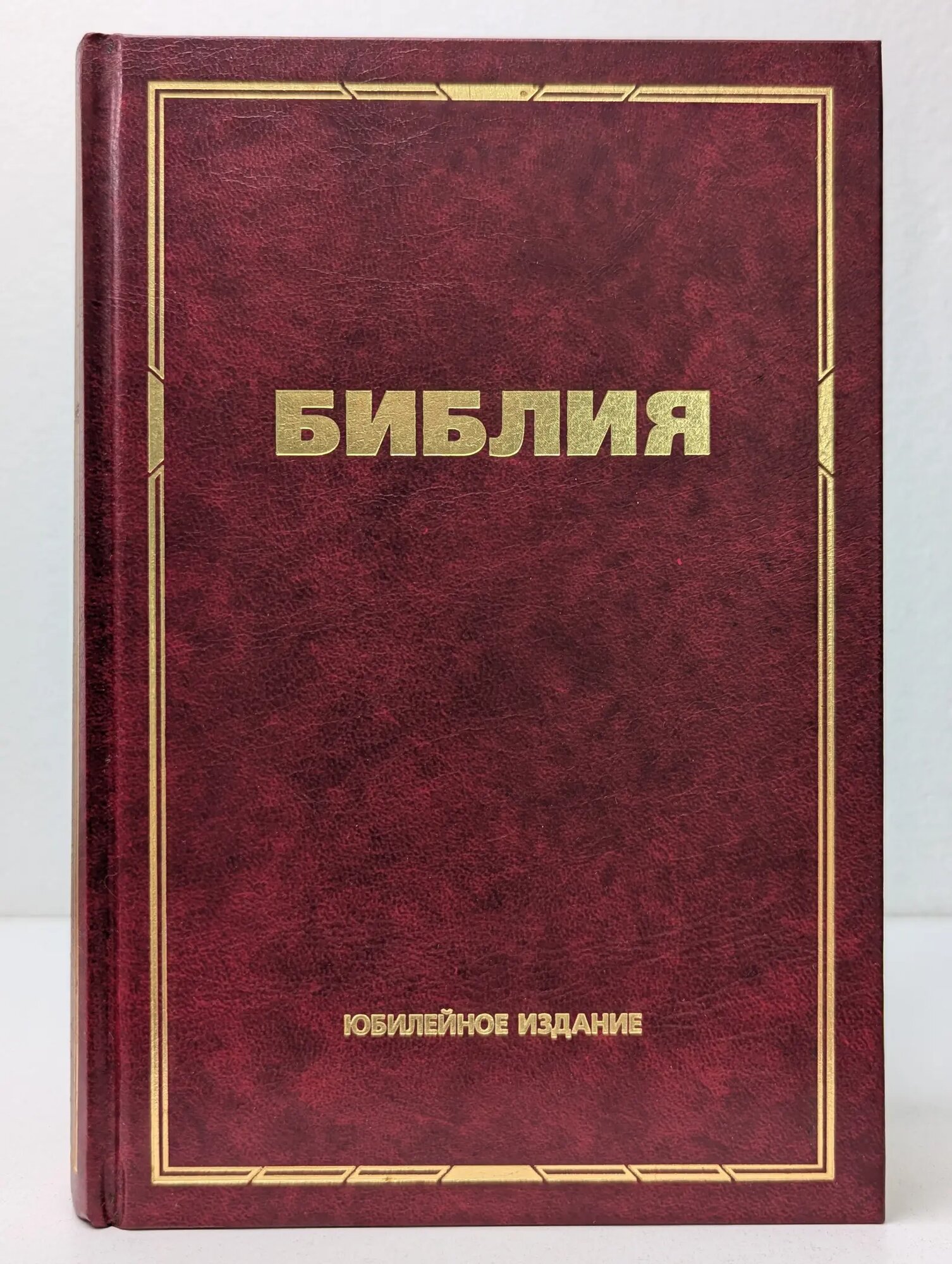 Библия. Книги Священного Писания Ветхого и Нового Заветов. Канонические Сборник 2008