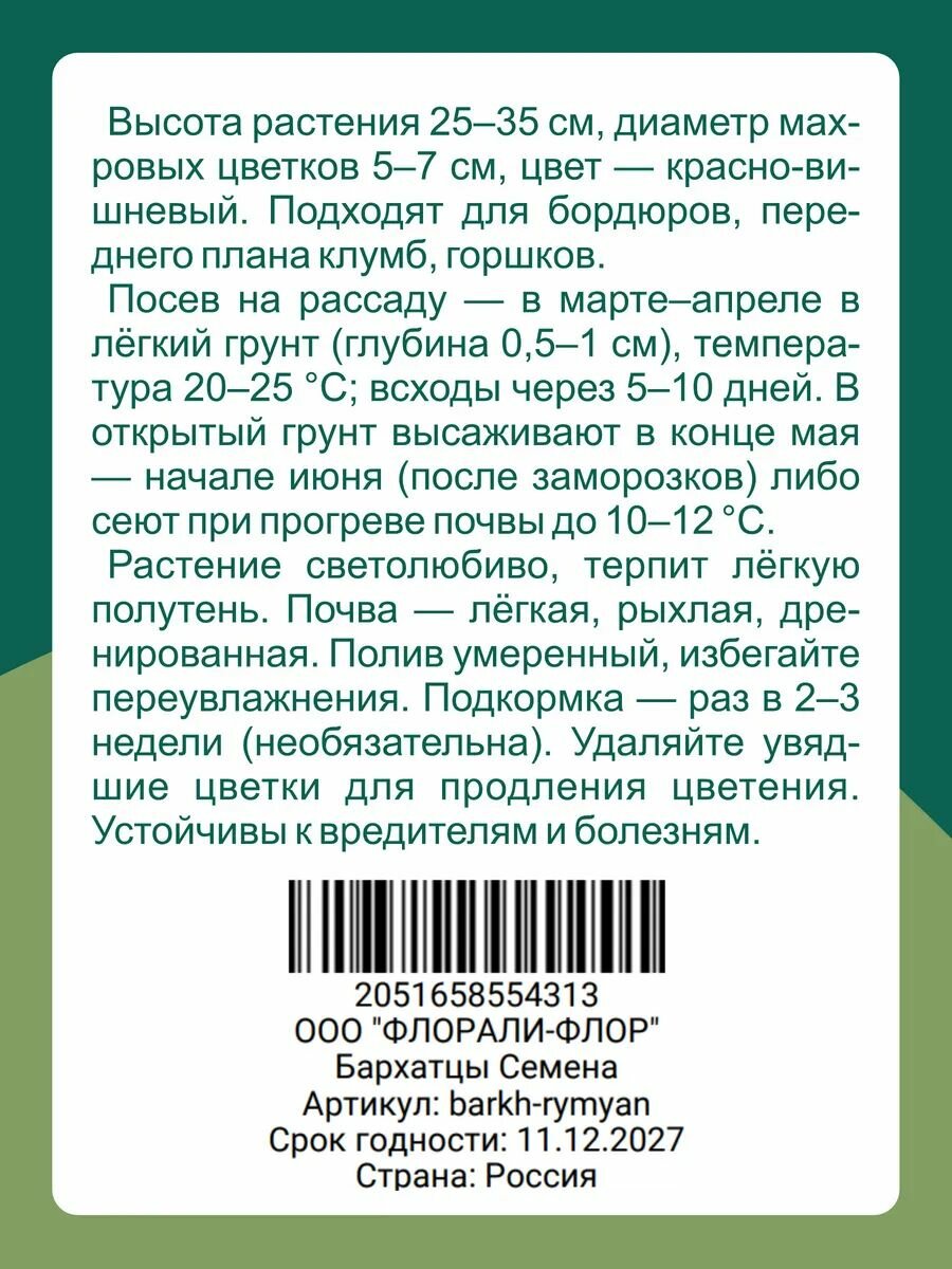 Бархатцы Семена — фото 1