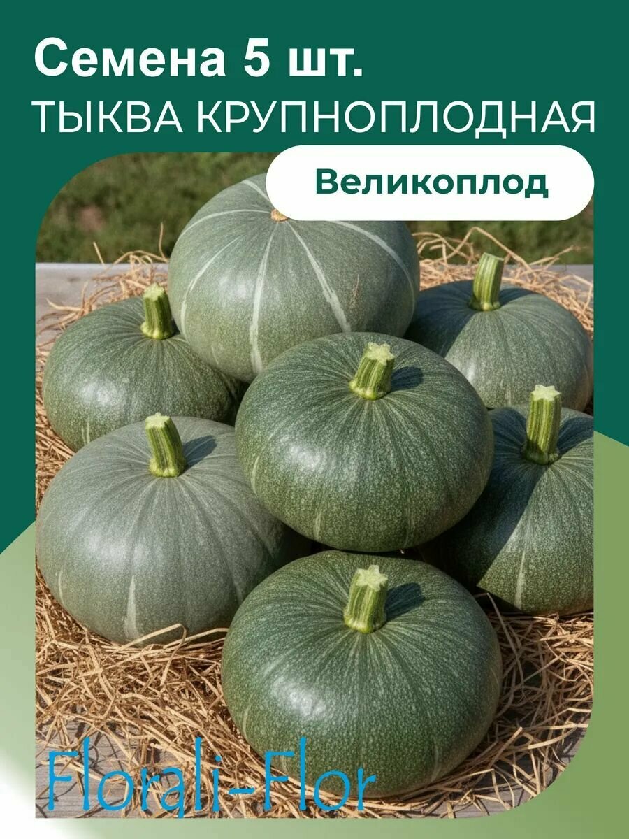Тыква Крупноплодная Семена