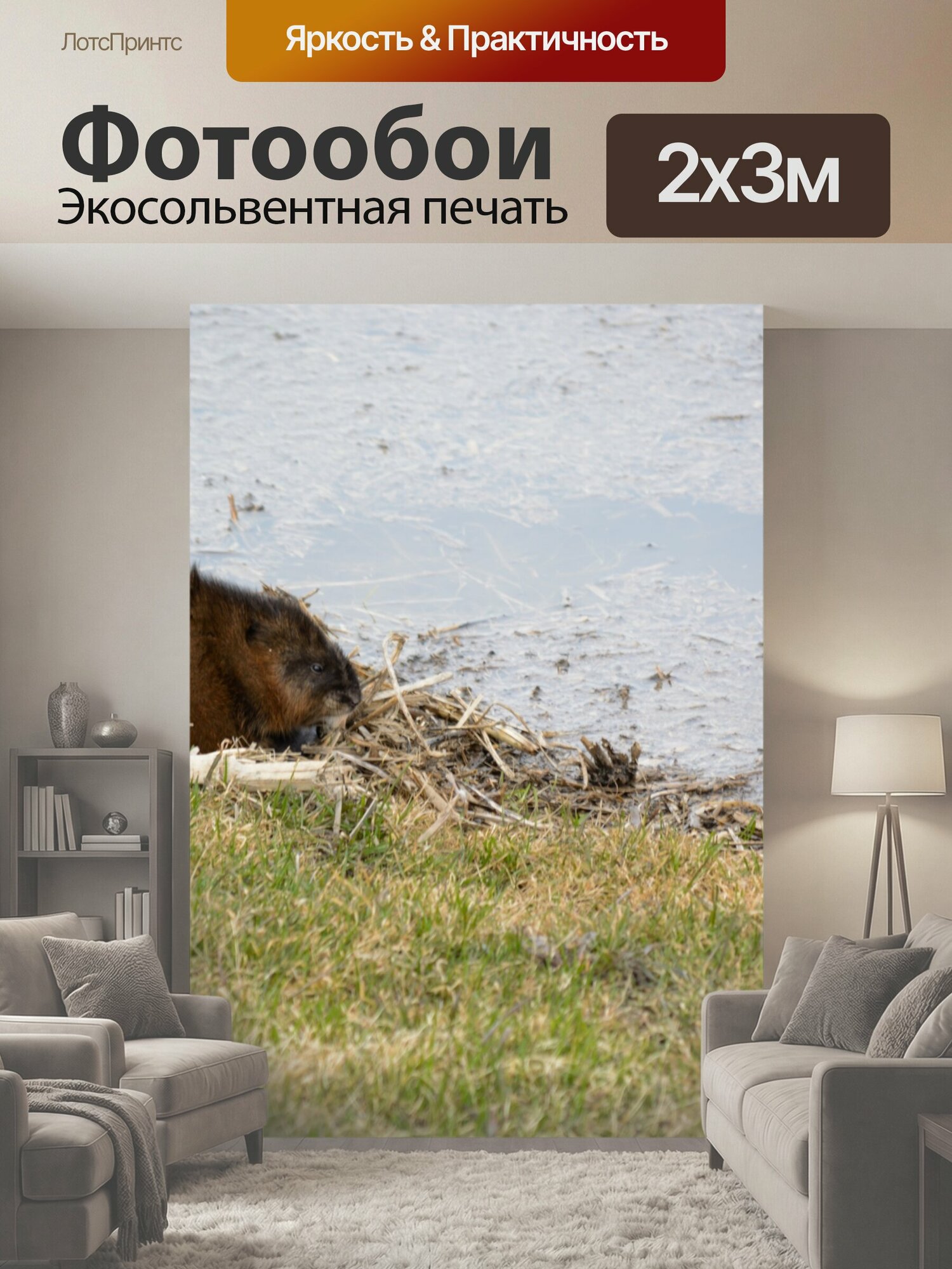 Фотообои "Ондатра Ондатра на краю воды ондатра грызун улавливать охота мех животное воды поток река всеобщее достояние" 200x300 см. экосольвентная печать