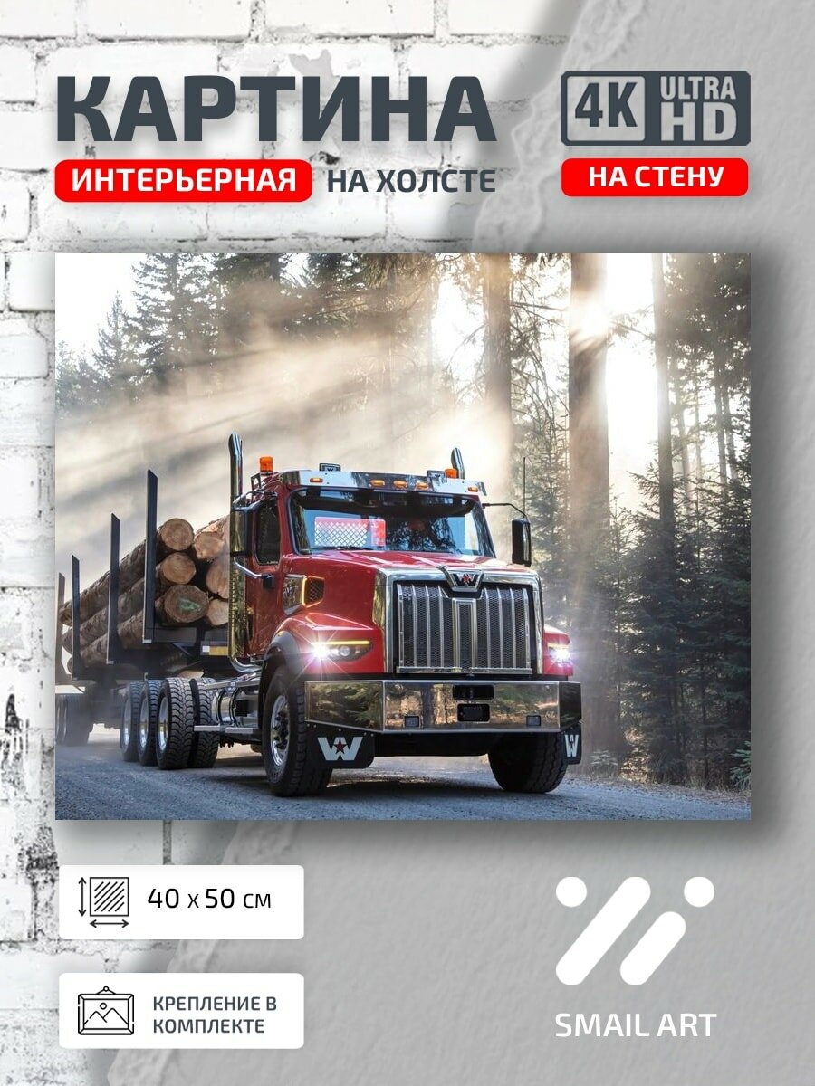 Картина на холсте интерьерная 40 на 50 на стену машина Грузовик для студии атмосфера